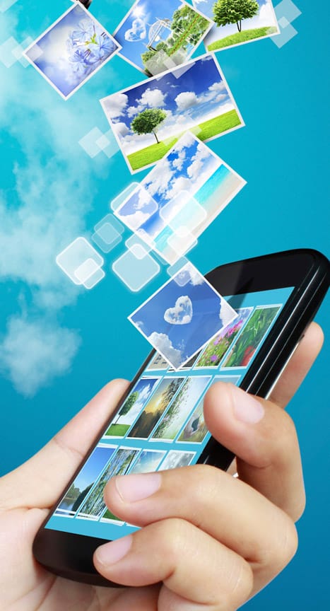 Business SMS Text Messaging and Marketing Solutions | SendHub