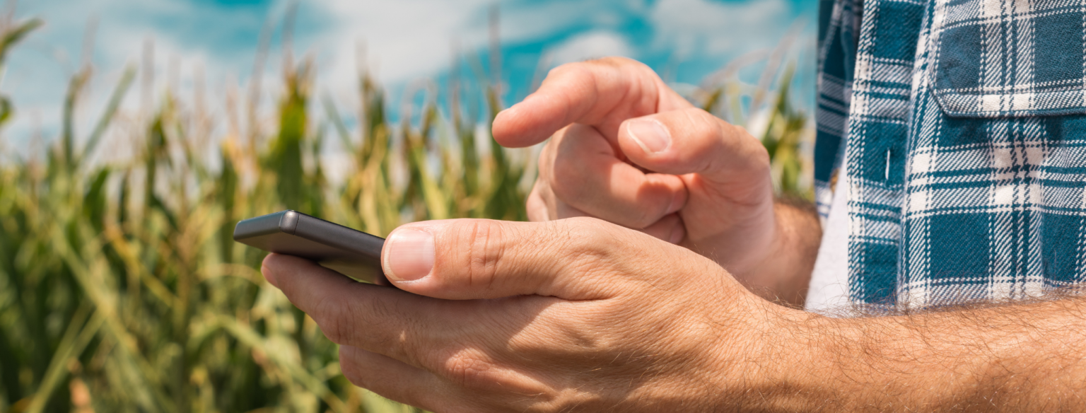 Tips and Examples for Crafting Perfect Text Signatures | SendHub